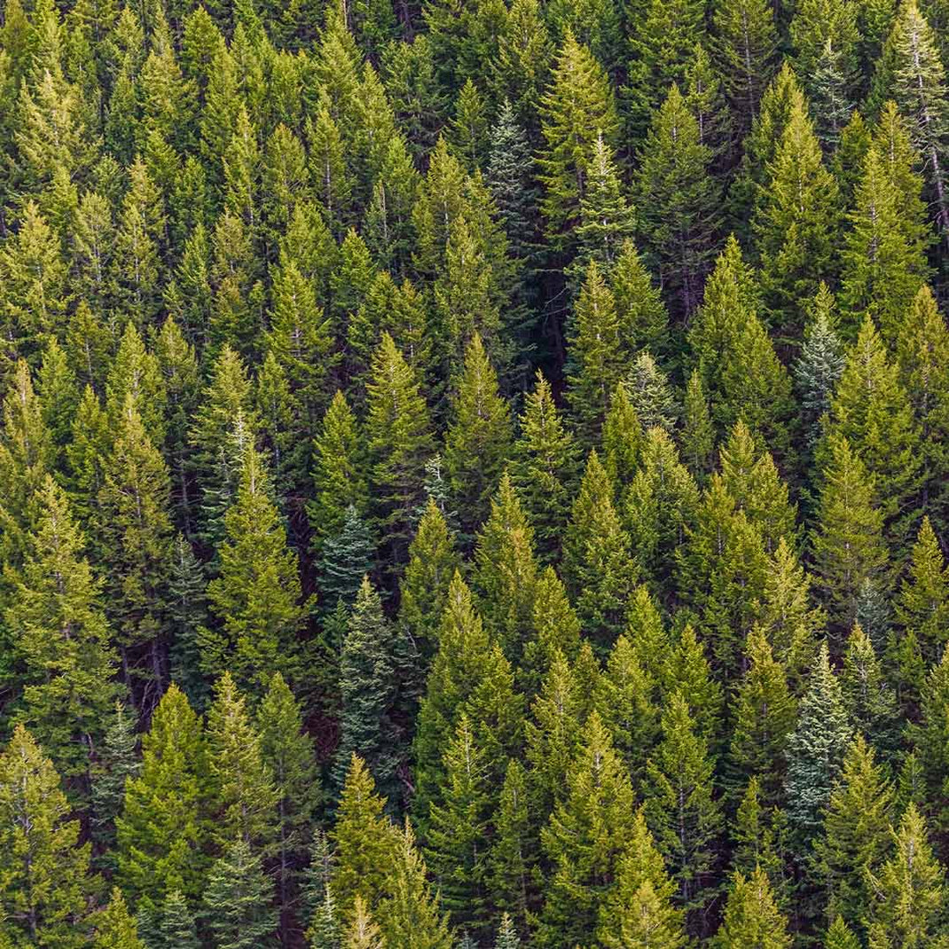 Our Sustainability – Proto-col